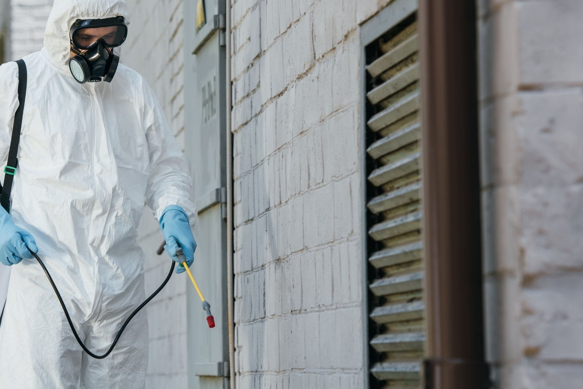 Pest Control Narre Warren | Safe & Reliable Extermination