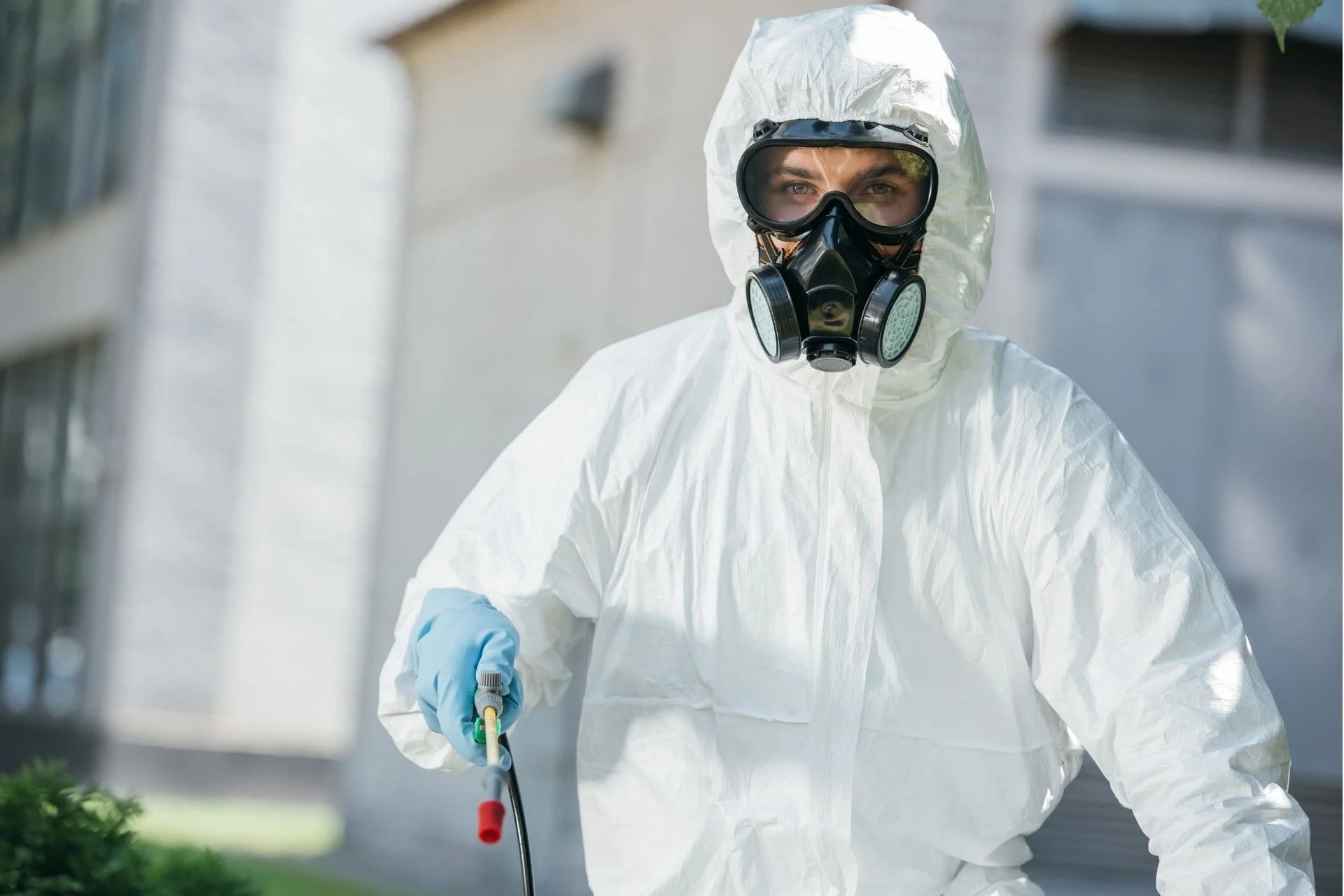 Pest Control Melbourne | Keep Your Home Pest-Free